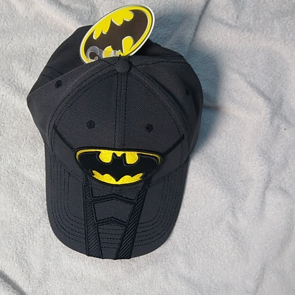 DC Comics | Accessories | Brand New Dc Comics Batman Fitted Hat Cap ...